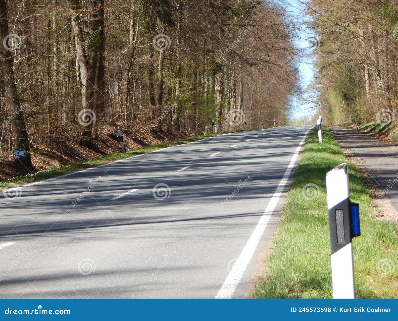 Forest Saving Walk in Spring Stock Photo - Image of highway, tree ...