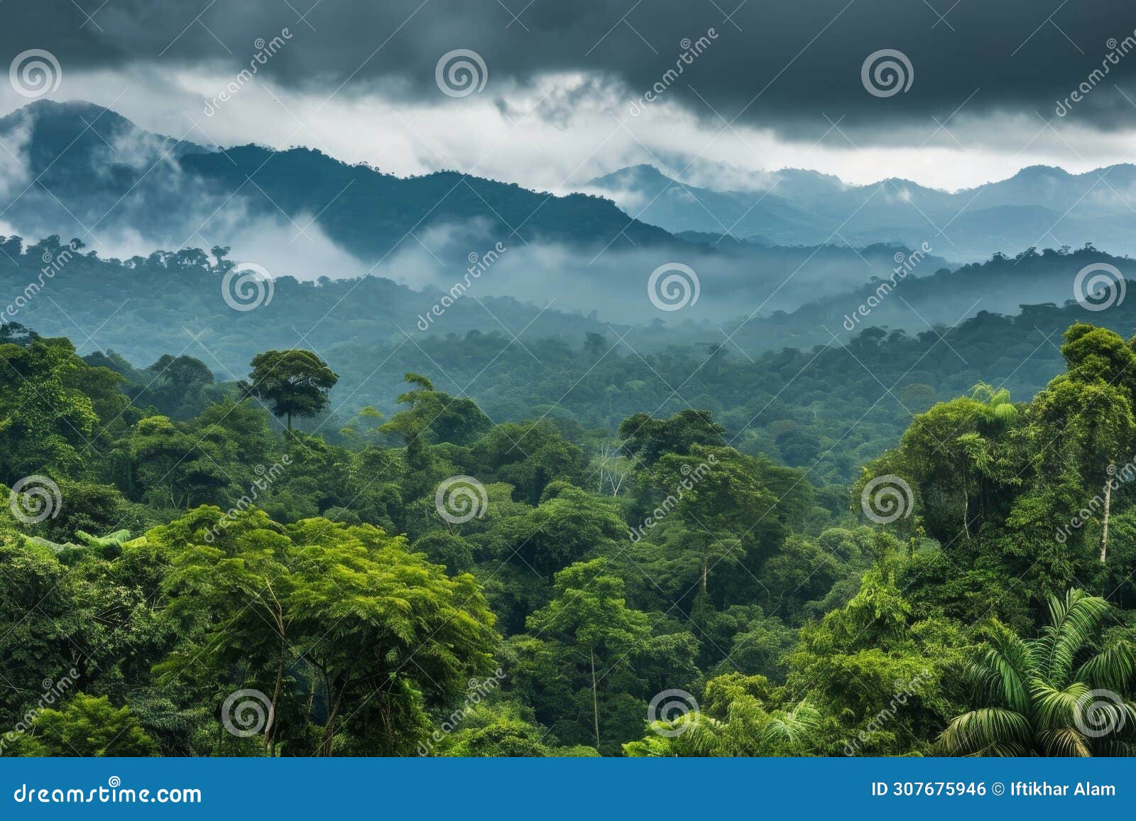 A Forest Scene with Numerous Trees Stretching Towards a Cloudy Sky, a ...
