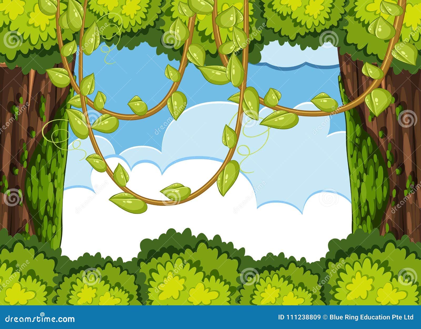 Forest Scene with Tree and Vine Stock Vector - Illustration of drawing ...