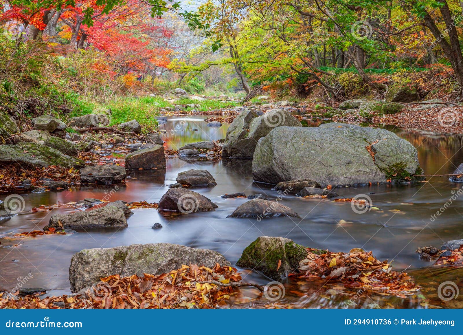 A Landscape of a Valley Colored with Autumn Leaves Stock Photo - Image ...