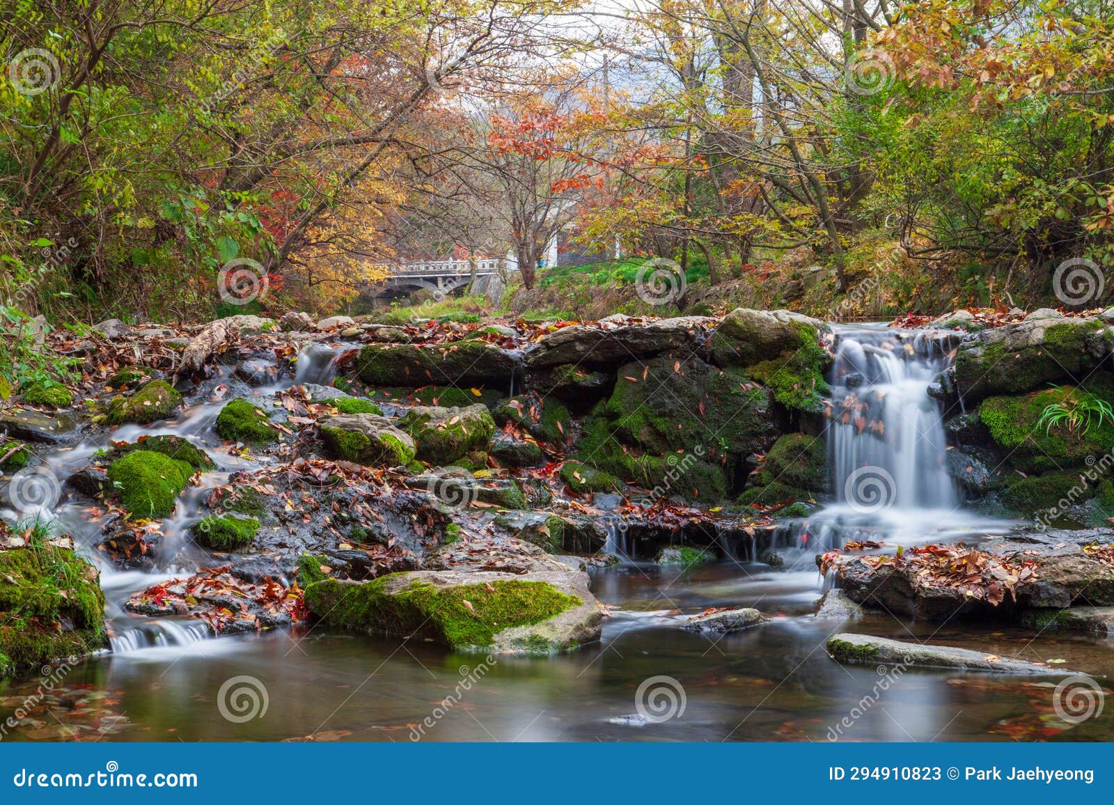 A Landscape of a Valley Colored with Autumn Leaves Stock Image - Image ...