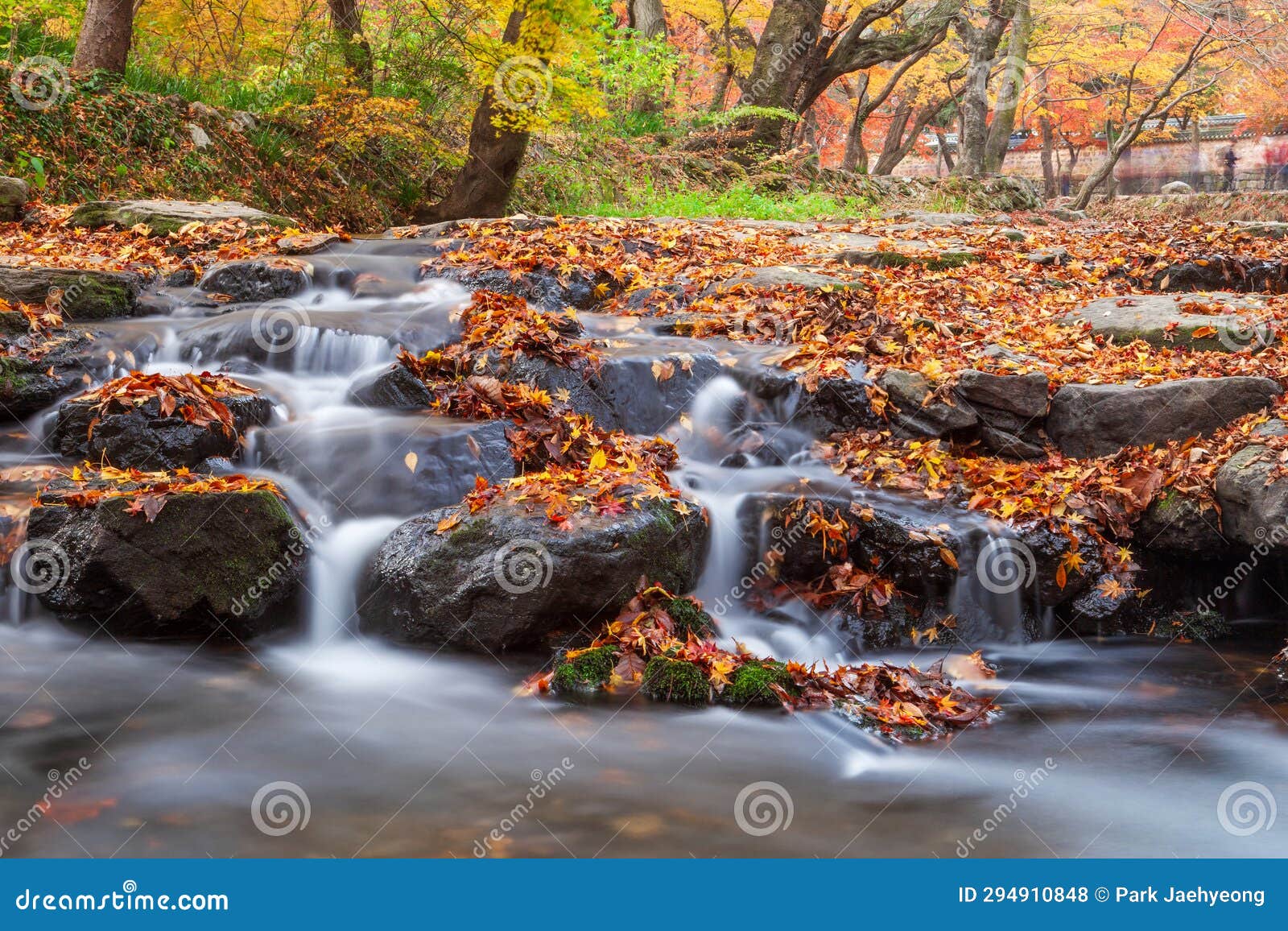 A Landscape of a Valley Colored with Autumn Leaves Stock Photo - Image ...