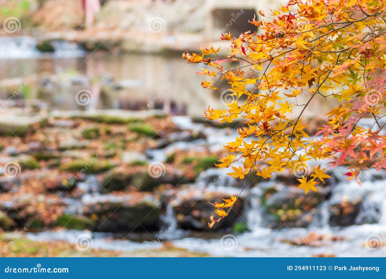 A Landscape of a Valley Colored with Autumn Leaves Stock Image - Image ...