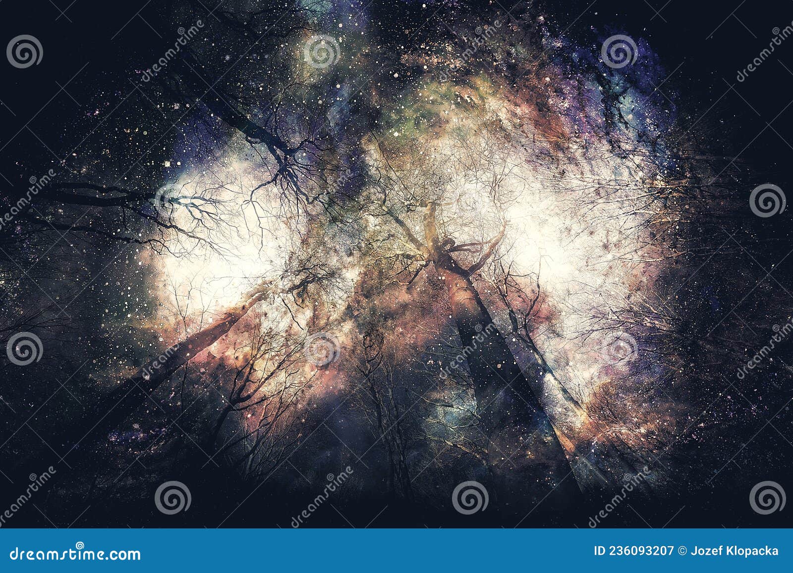 Forest Scenery, Beech Trees after a Frost in Cosmic Space. Stock Image ...