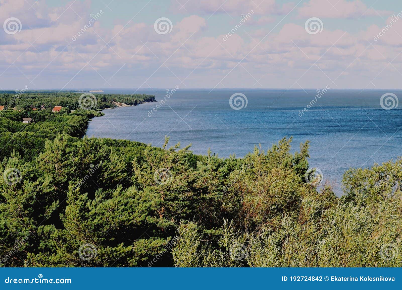 Forest and sea stock photo. Image of forest, coast, cape - 192724842