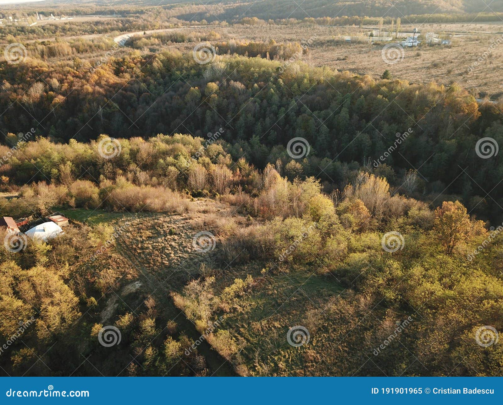 Forest Seen from Above in Early Spring at Sunset Stock Image - Image of ...