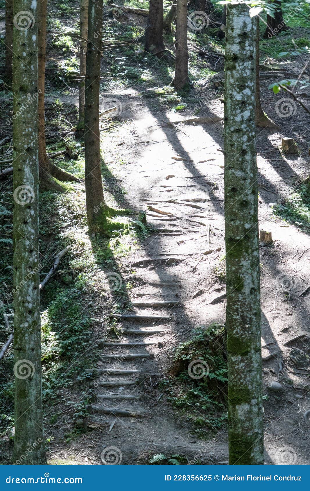 Seven Ladders Canyon Sapte Scari In Piatra Mare Mountains, Romania ...