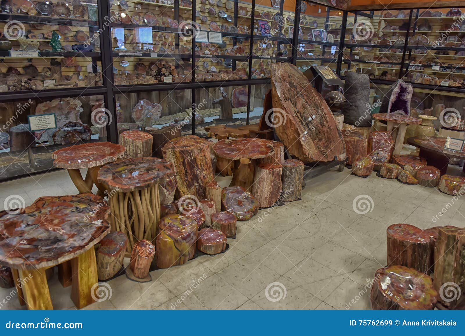 Forest Shop aterrorizado imagen de archivo editorial. Imagen de estante ...