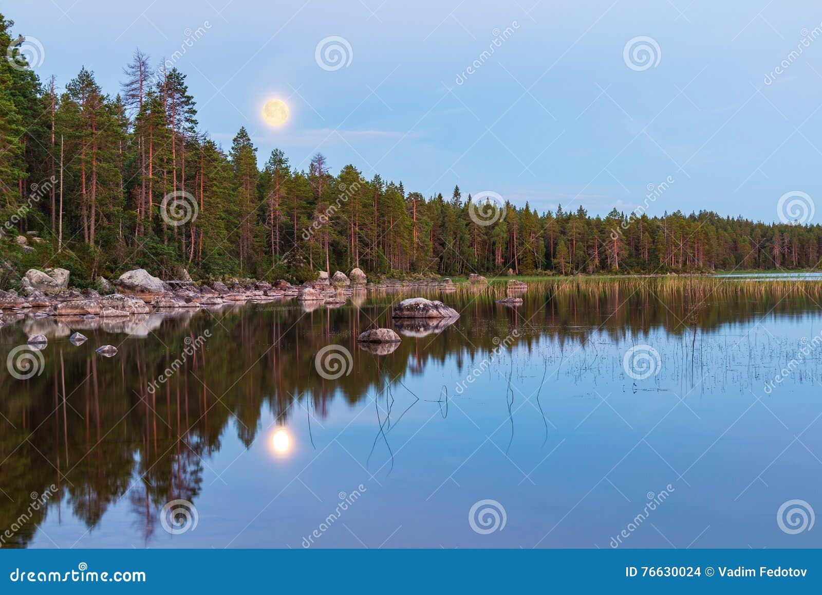 Forest on Shore of Lake and Full Moon Stock Photo - Image of dusk ...