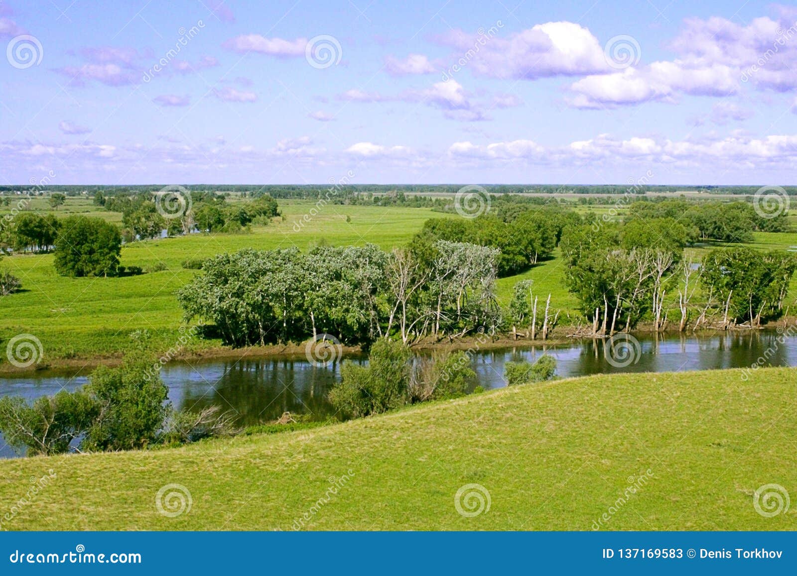 Forest in Siberia Against a Beautiful Sunset Stock Image - Image of ...