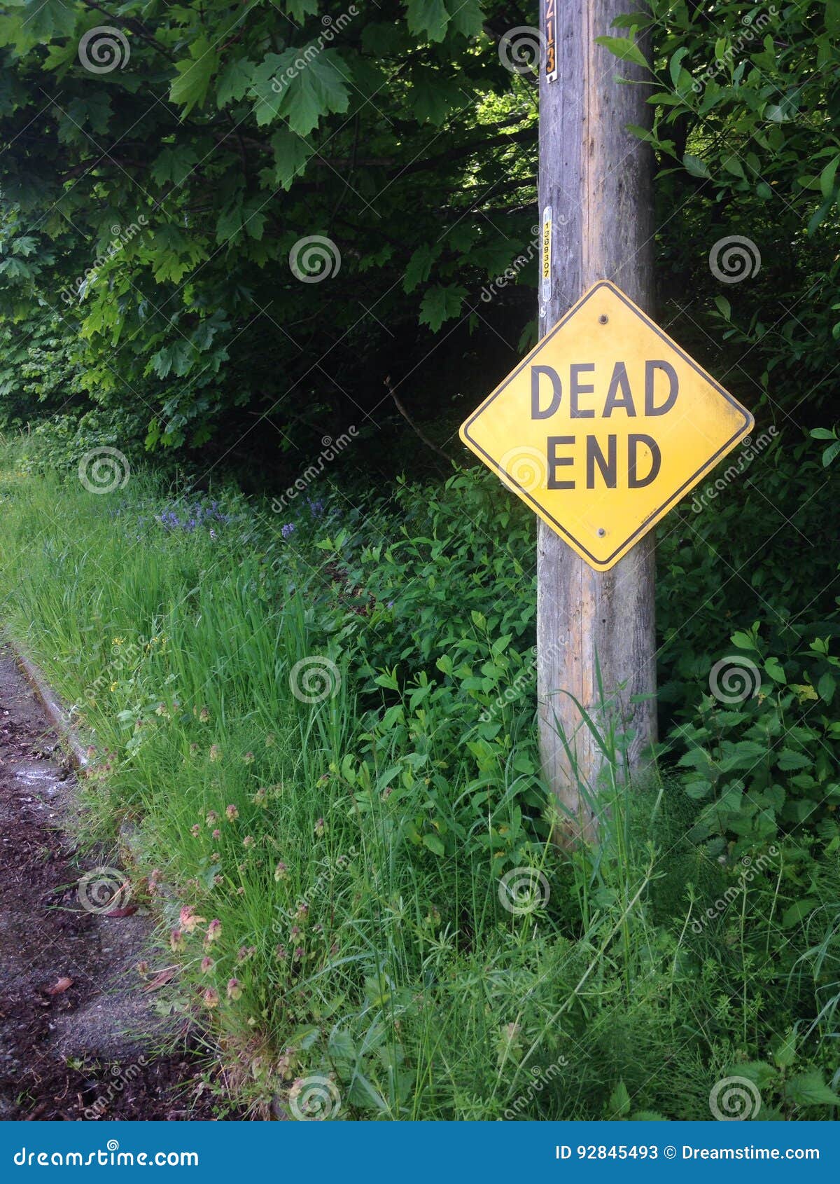 Forest-side Dead End stock image. Image of forest, street - 92845493