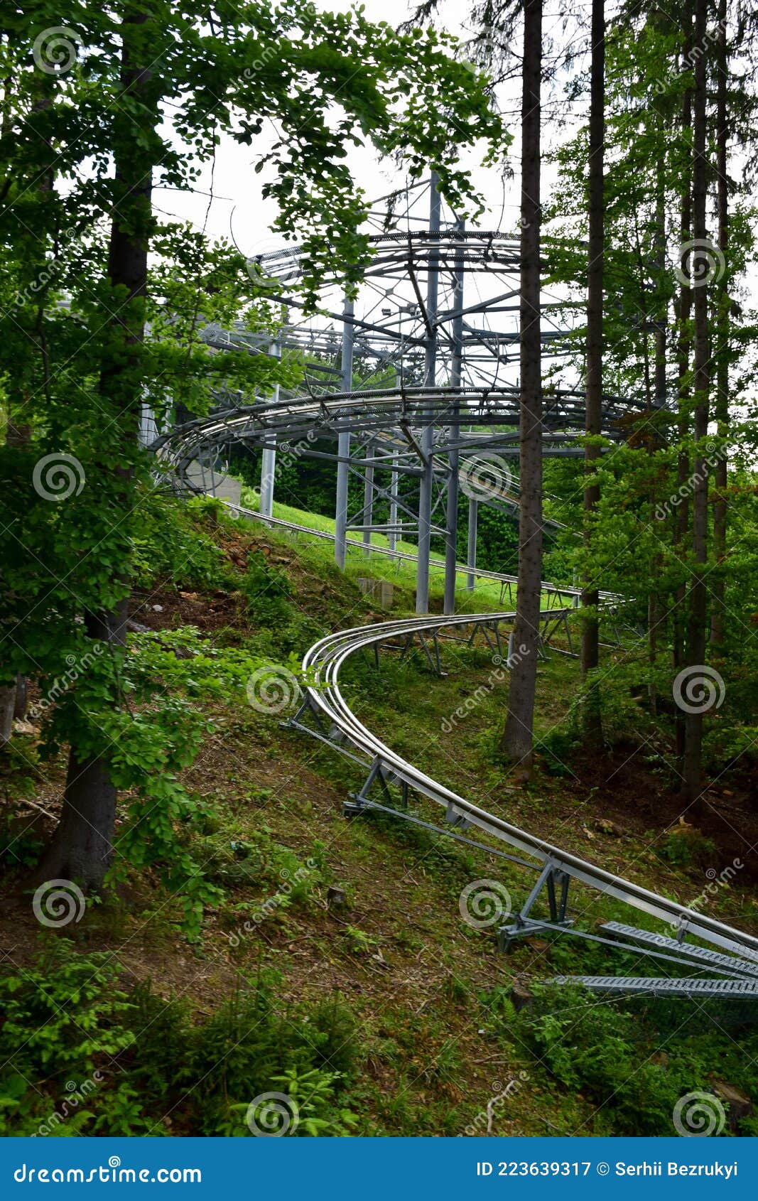 In the Forest on the Side of the Mountain There is a Roller Coaster ...