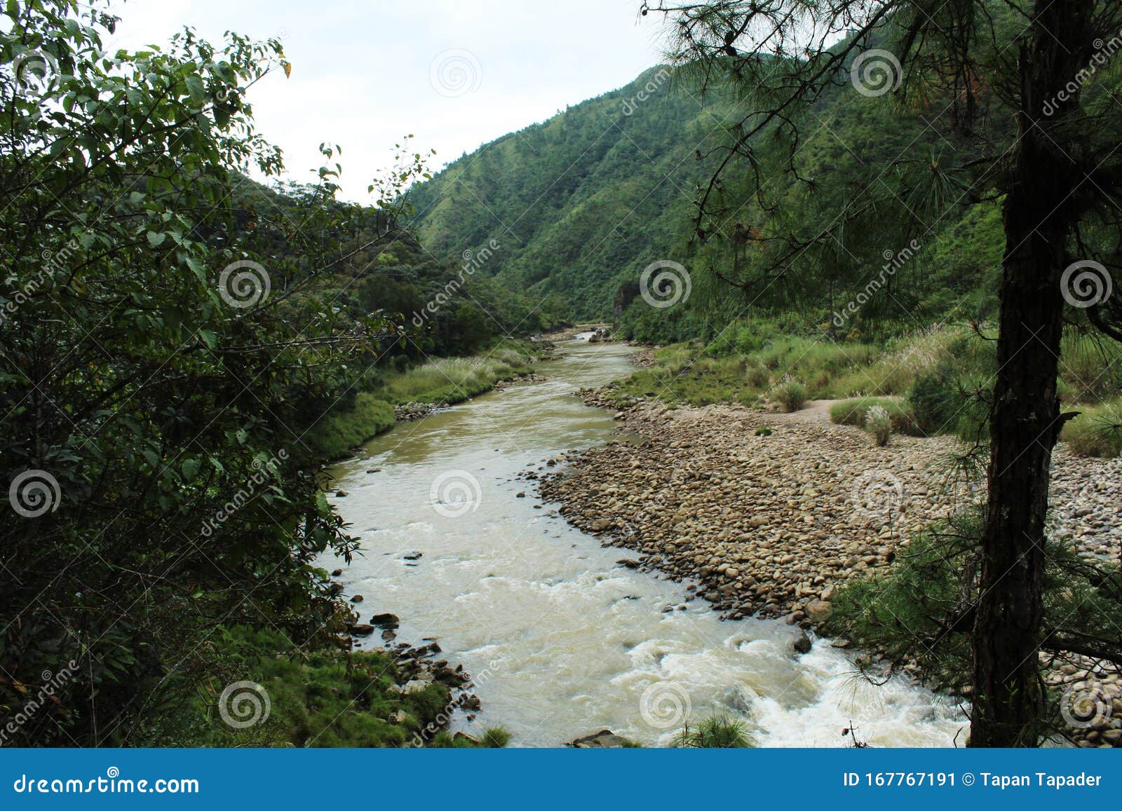 Forest Side River Flowing by the Side of Mountain Stock Image - Image ...