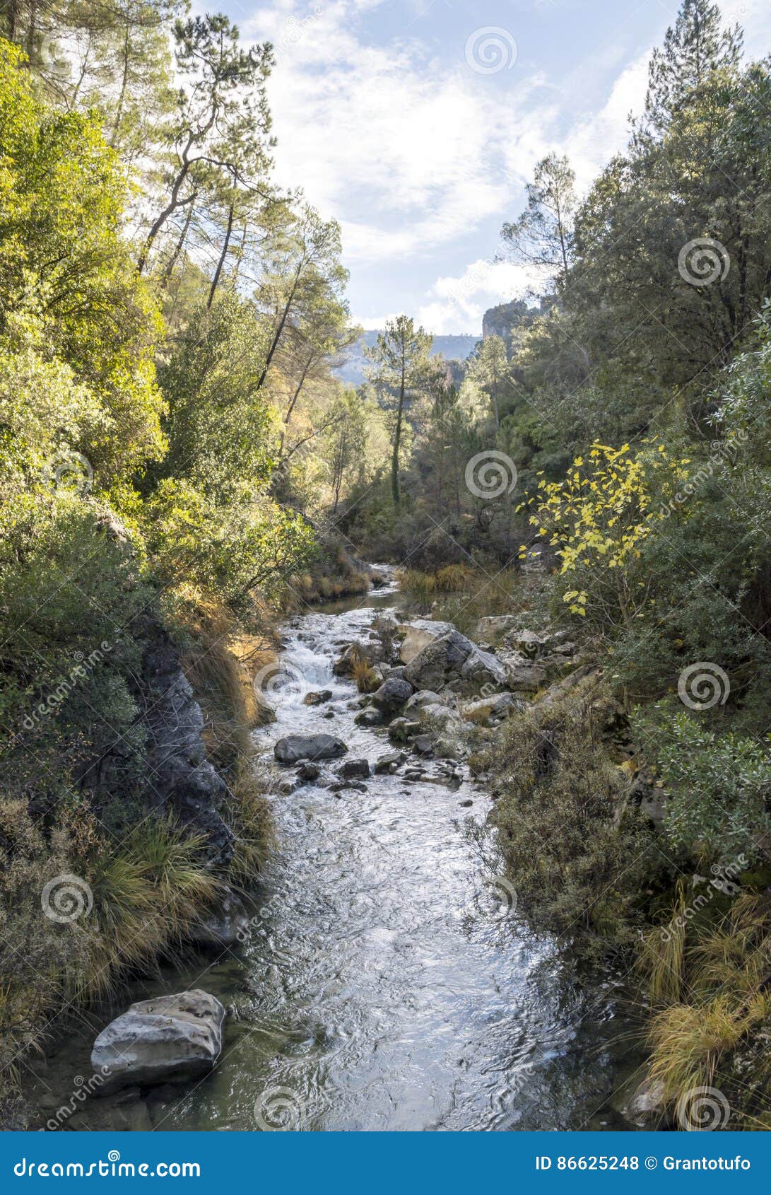Forest in the Sierra De Cazorla Stock Photo - Image of color, cloud ...