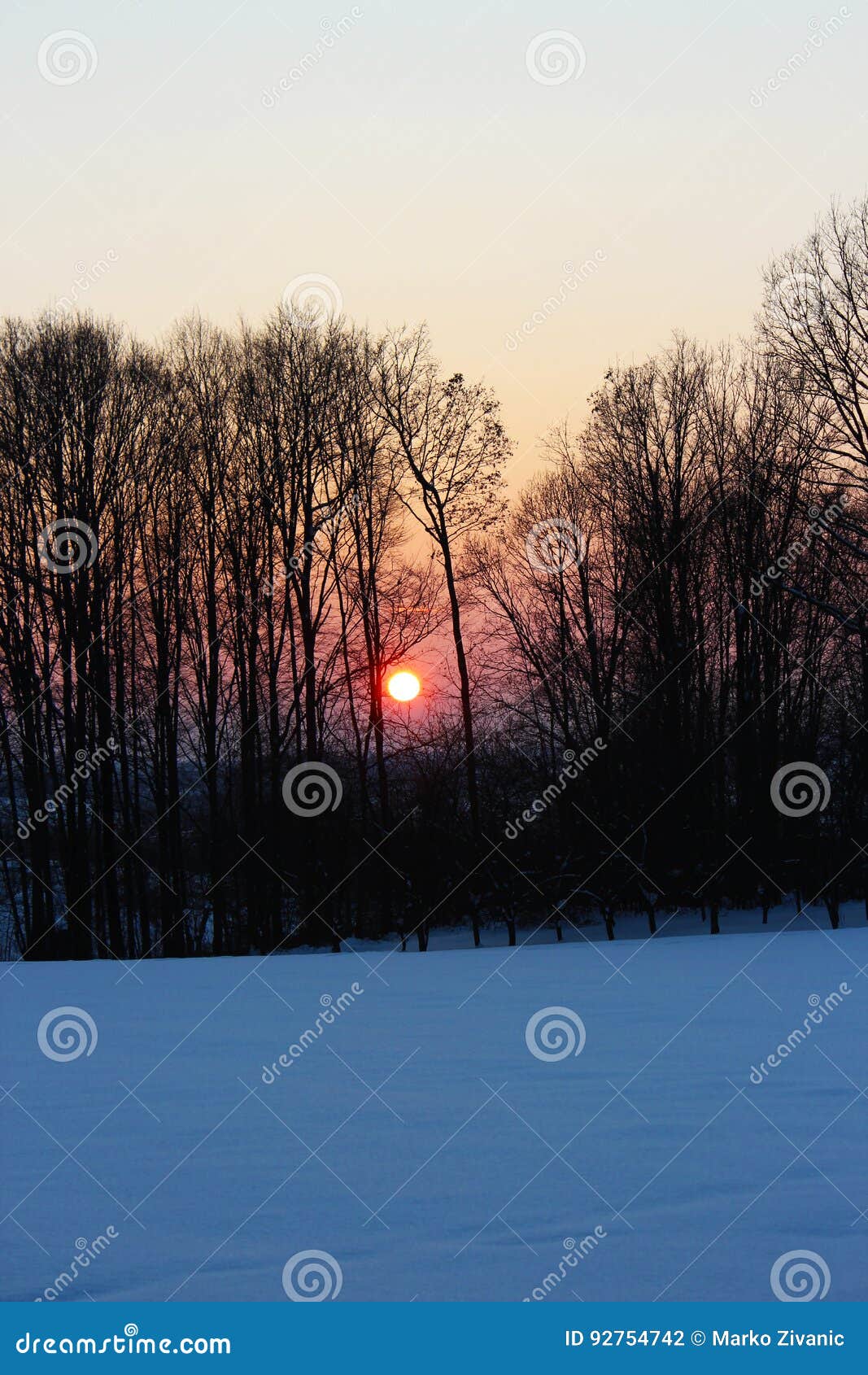Forest Siluet in Red Sunset during Winter Stock Photo - Image of ...