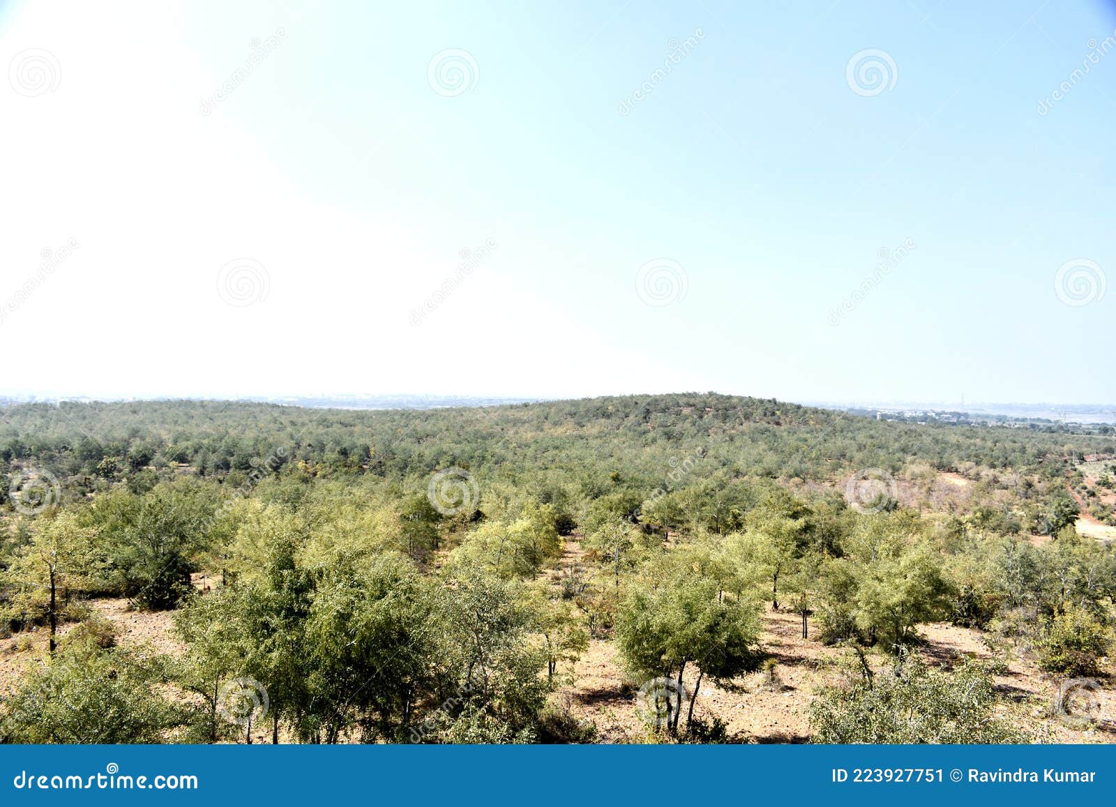 A Forest Situated in Andhra Pradesh at Kurnool District Stock Image ...