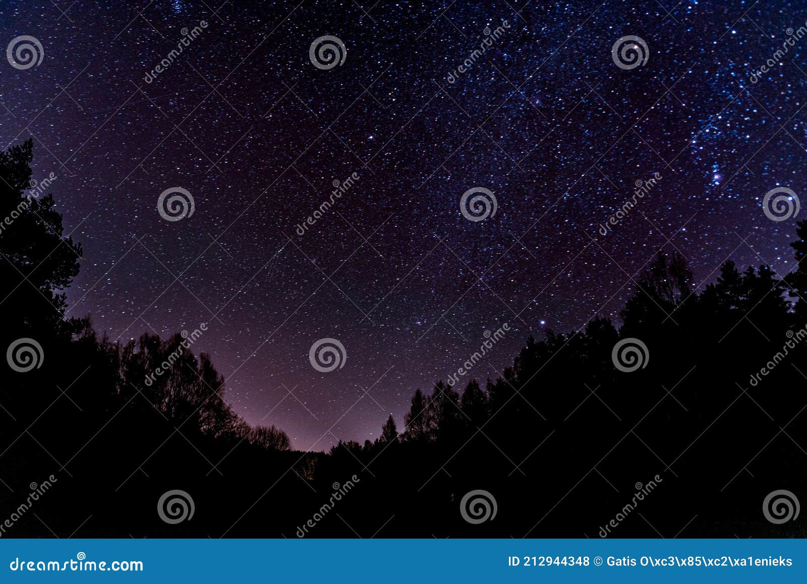 Forest Sky at Night with Stars Stock Photo - Image of person, moon ...