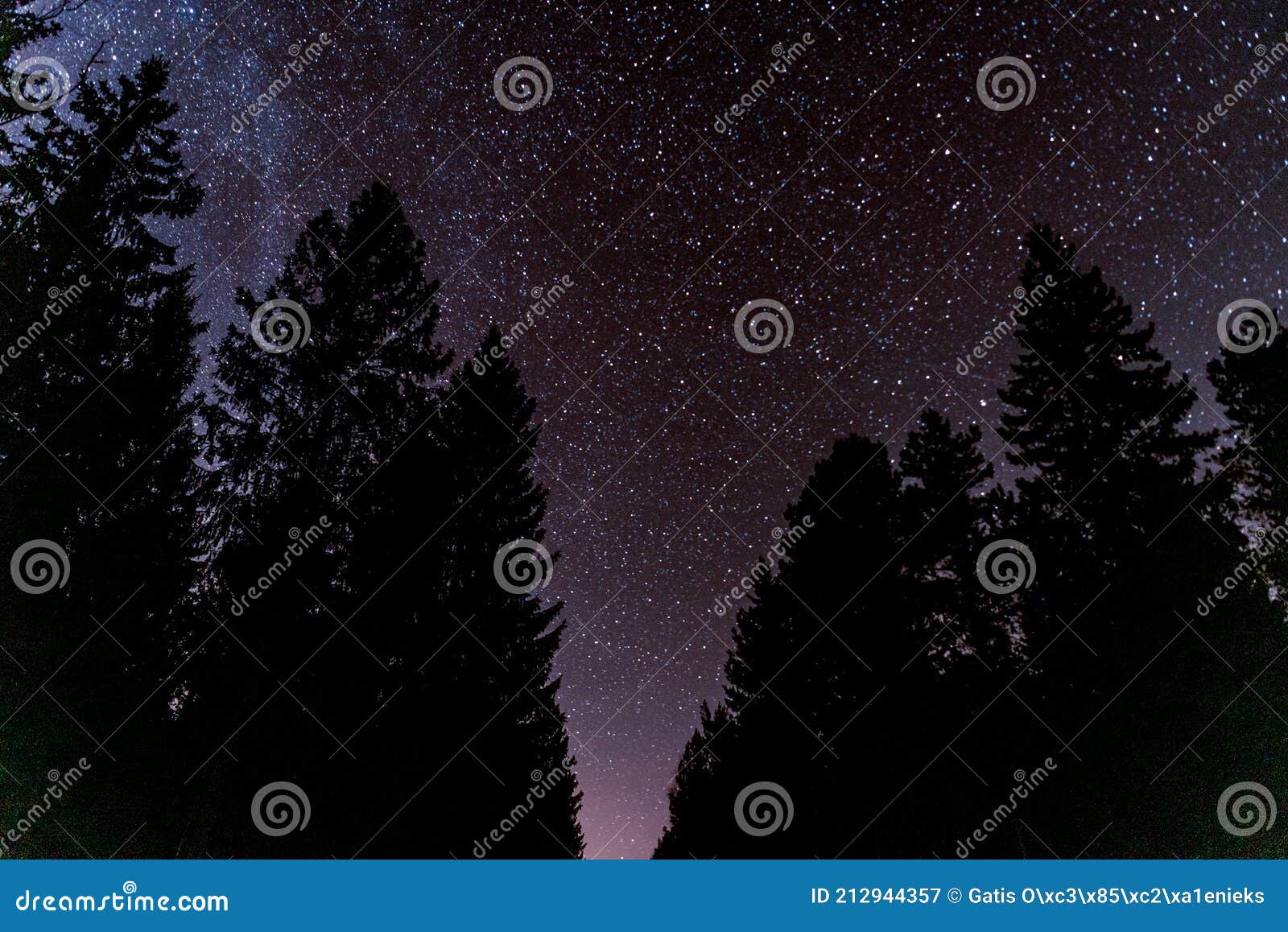 Forest Sky at Night with Stars Stock Image - Image of outer, orion ...