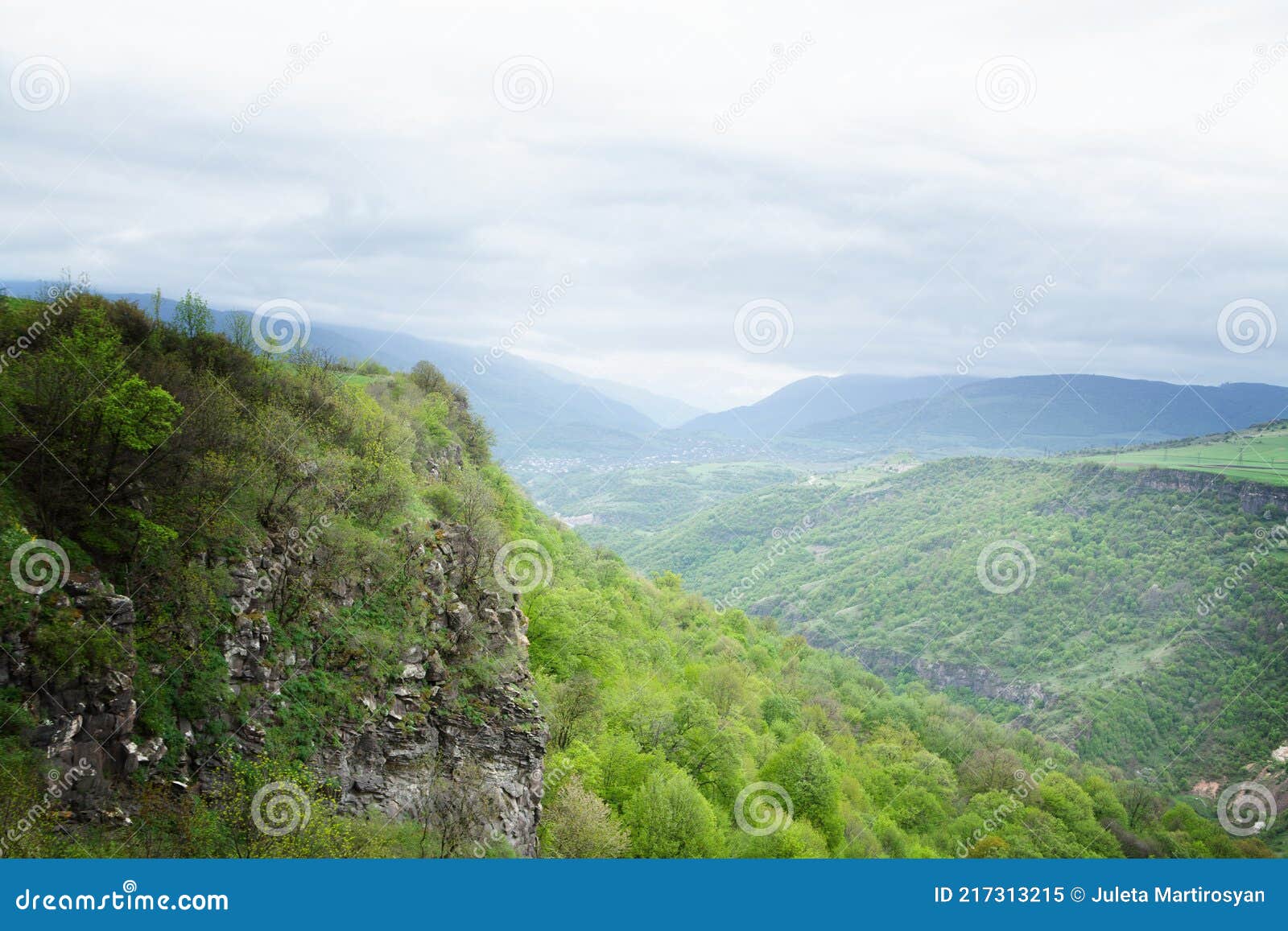 Forest on the Slope of the Cliff Stock Image - Image of natural, rugged ...