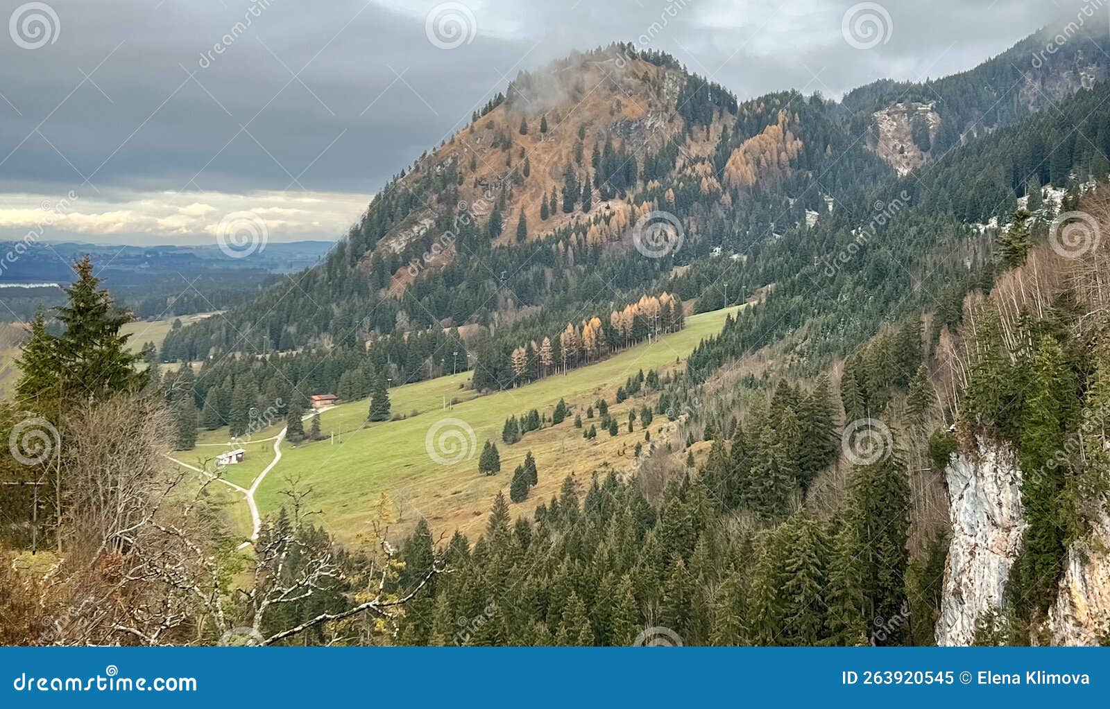 Forest on the Slope of the Mountain. Meadows and Forest on a Mountain ...