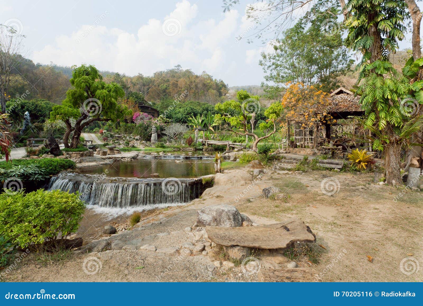 336 Gaden Grass Stock Photos - Free & Royalty-Free Stock Photos from ...