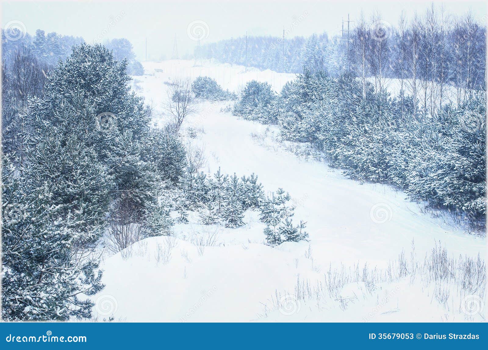 Forest and snowy hillside stock image. Image of natural - 35679053