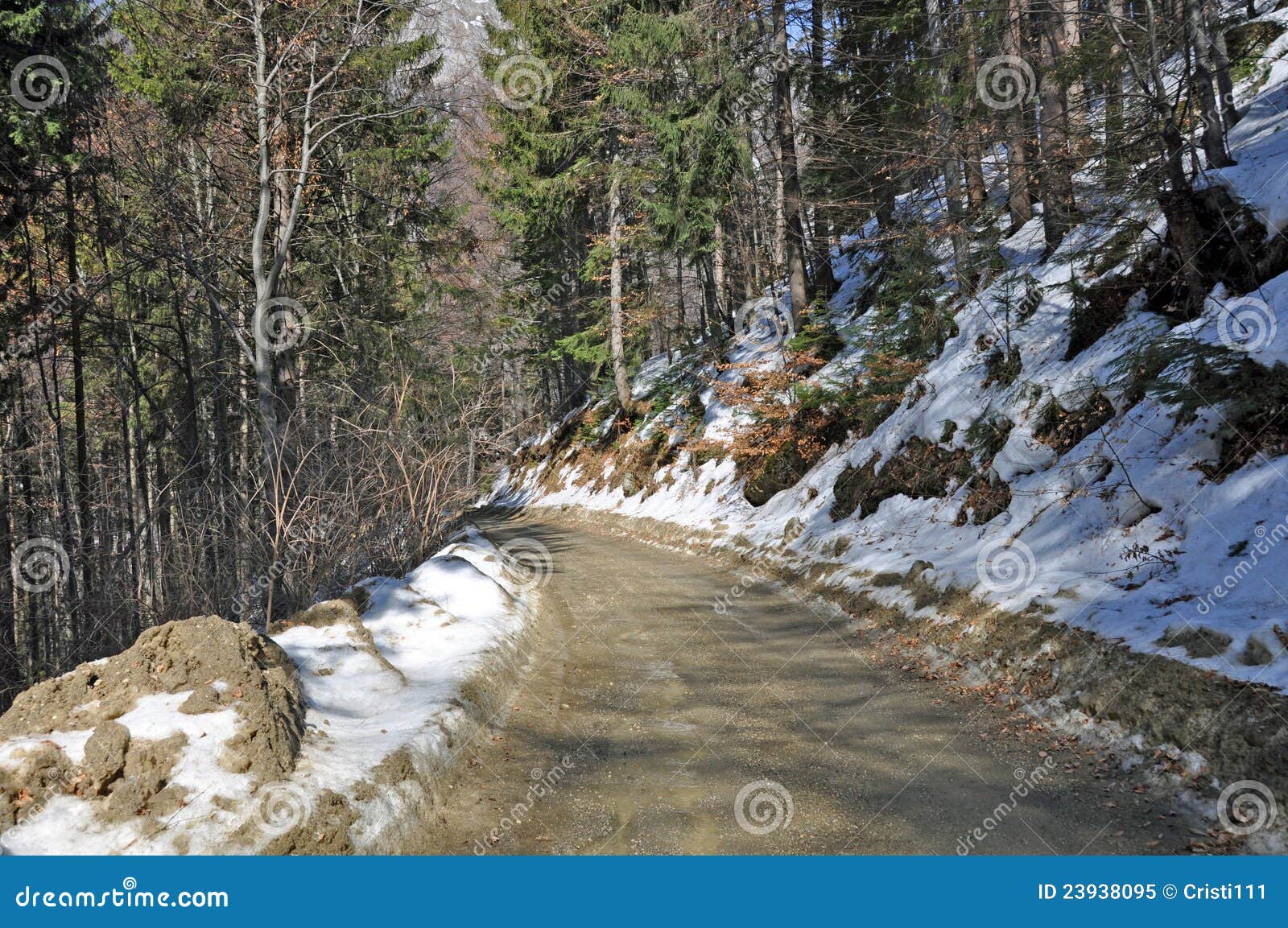 Forest snowy way stock image. Image of magura, forest - 23938095