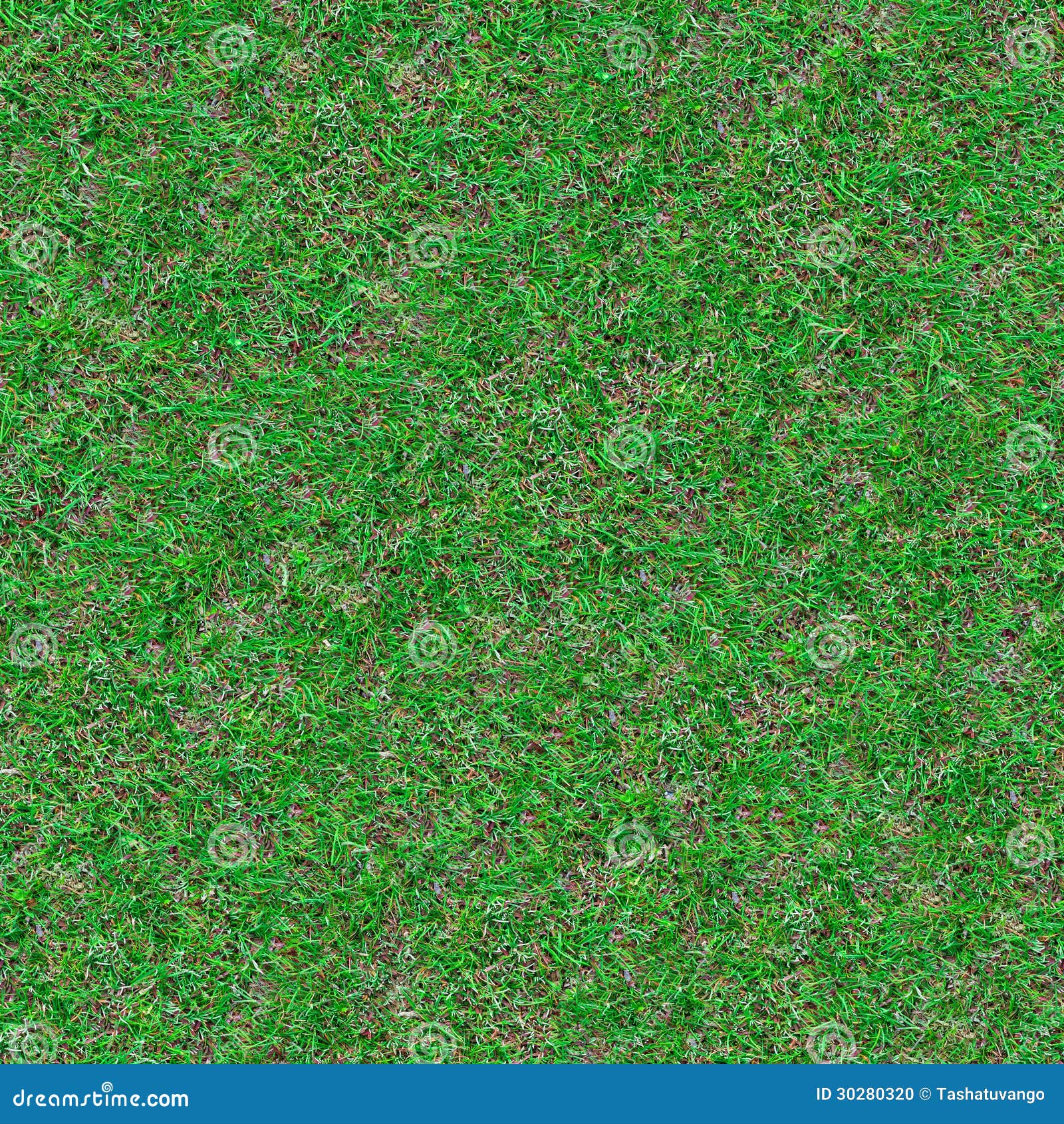 Soil Seamless Texture Royalty-Free Stock Image | CartoonDealer.com ... Soil Seamless Texture Royalty-Free Stock Image | CartoonDealer.com ...