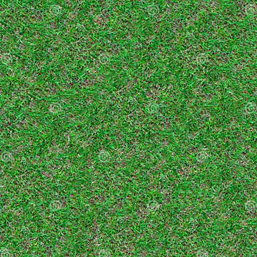 Forest Soil. Seamless Texture. Stock Photo - Image of green, lush: 30280320