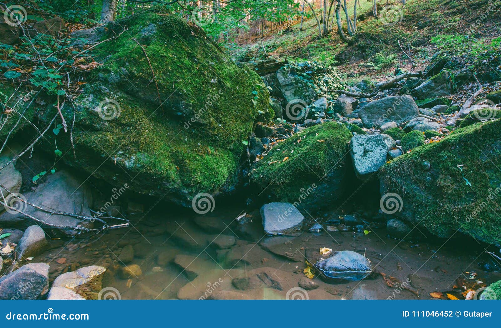 Forest Source of Water between Large Stones Covered with Green Moss ...