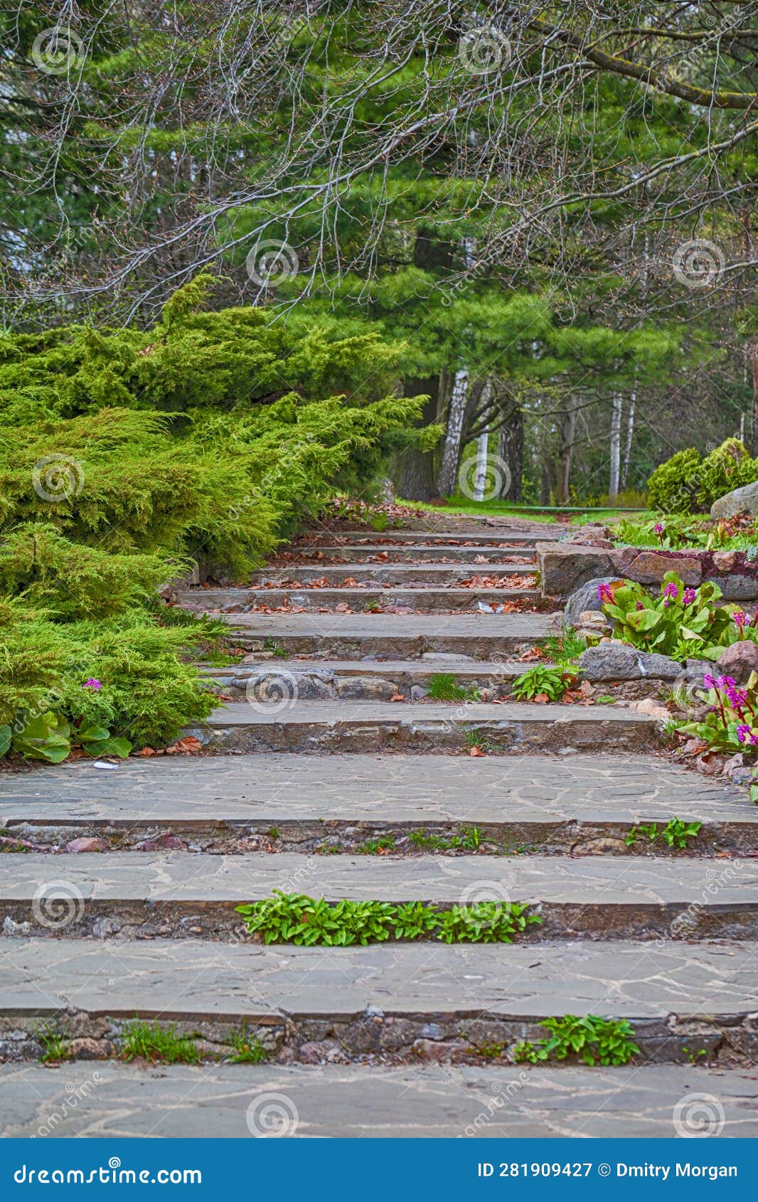 Forest Spring Garden Stairs Located on Artificial Mount Stock Image ...