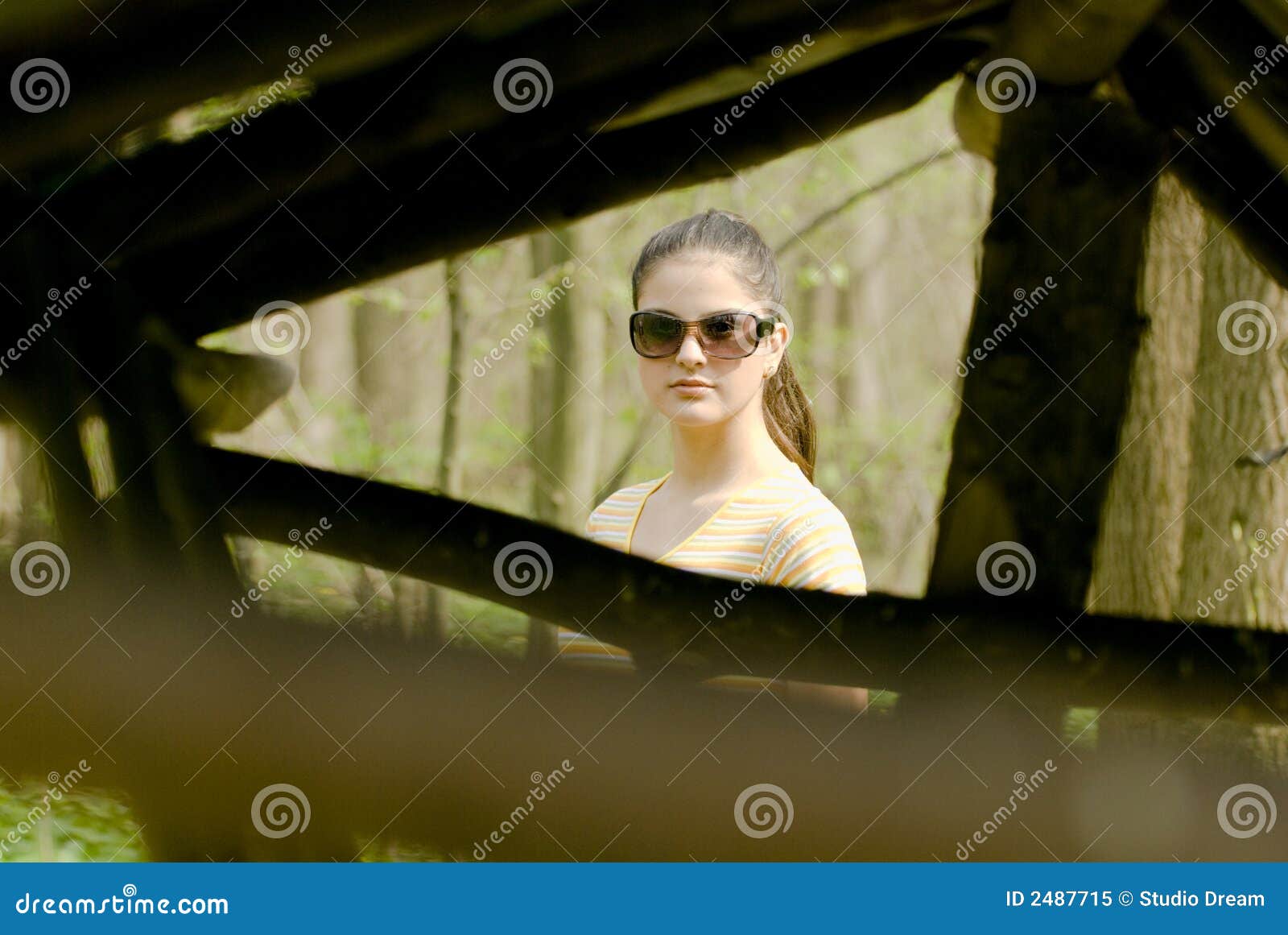 Forest stable stock image. Image of glasses, young, forest - 2487715