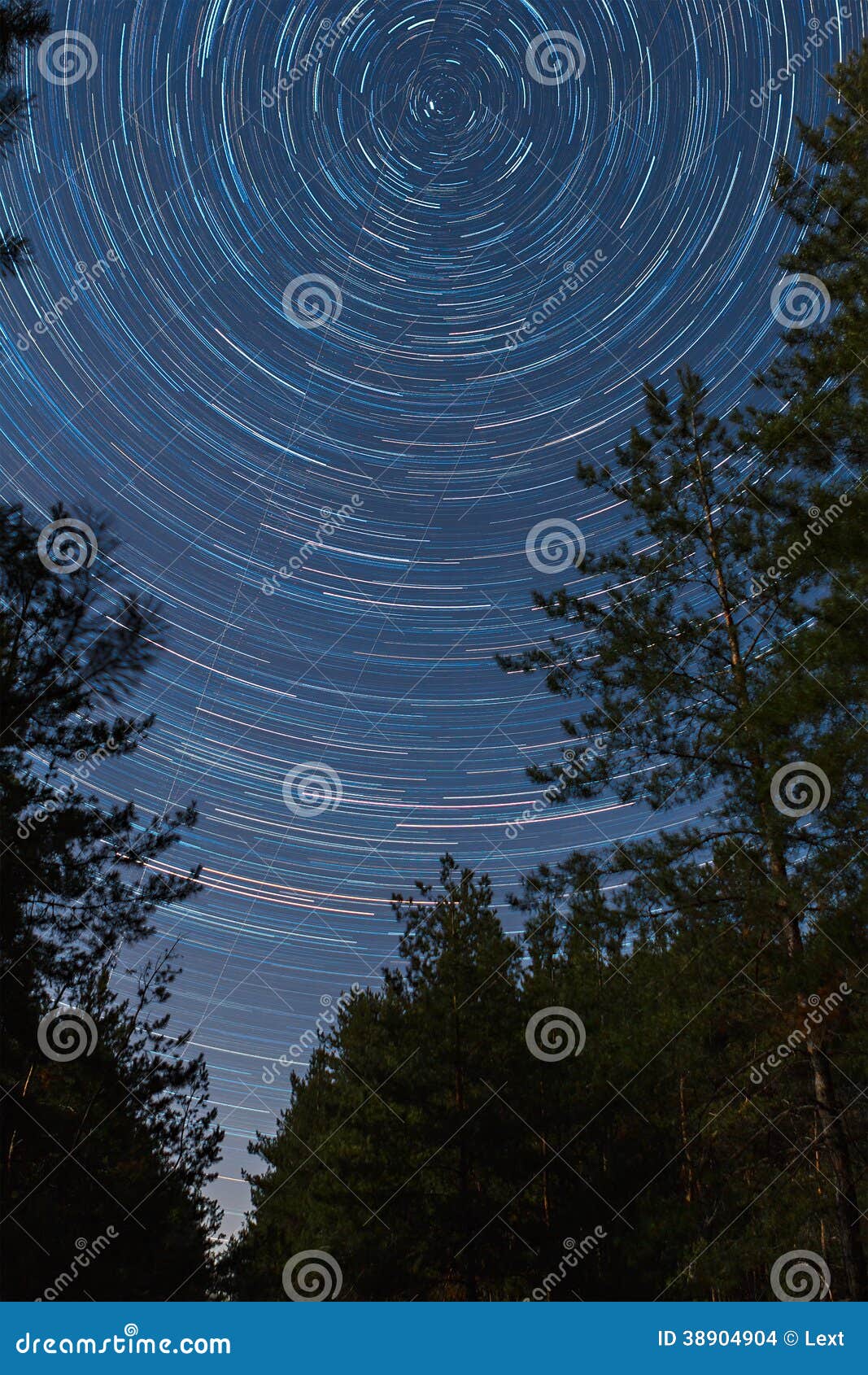 Forest on Starry Sky Background Stock Photo - Image of planet, darkly ...