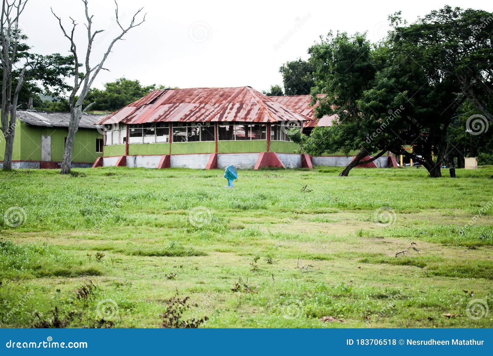 Forest Stay Home in Bandipur India Stock Photo - Image of twig, leaf ...