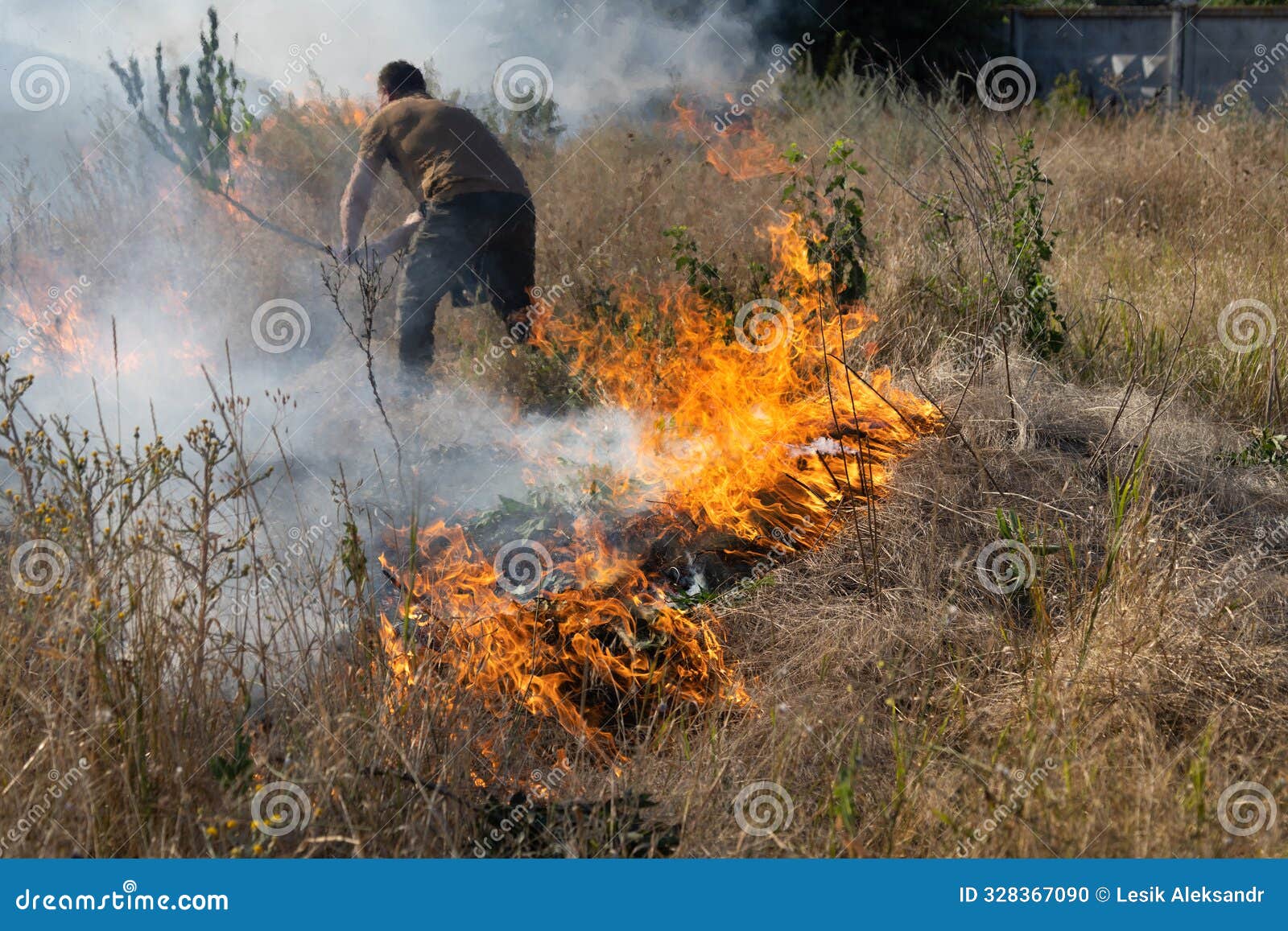 Forest and Steppe Fires Dry Completely Destroy the Fields and Steppes ...
