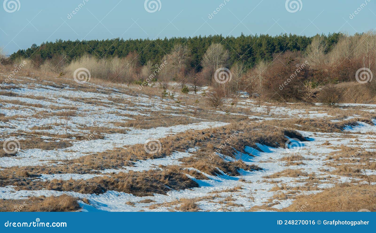 Forest and Steppe with Melting Snow Stock Photo - Image of springtime ...