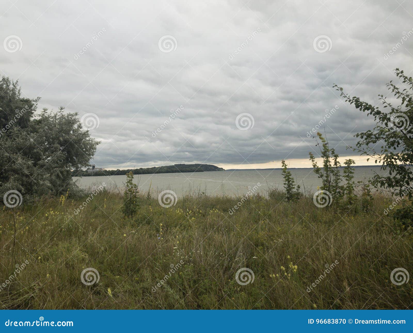 Forest-steppe stock photo. Image of morning, grass, river - 96683870