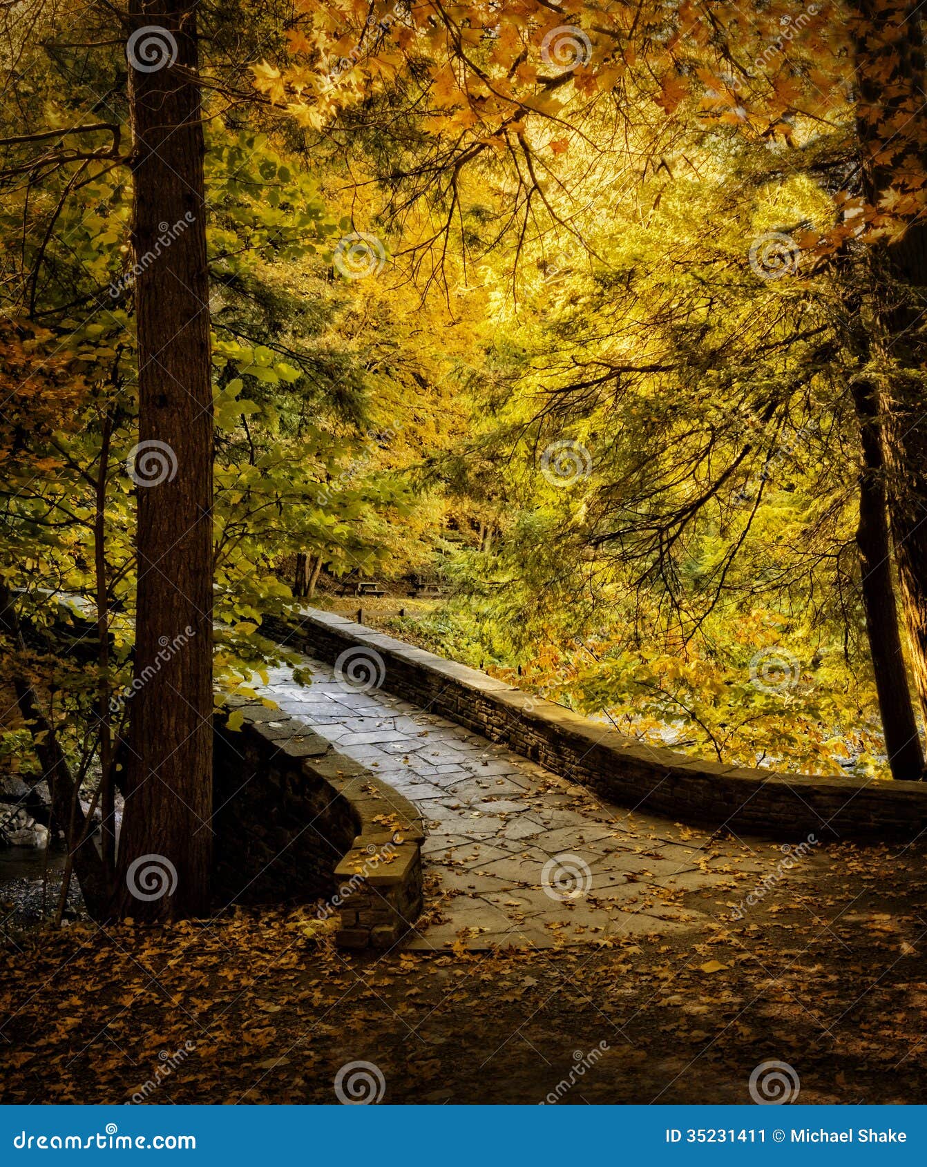 Forest Stone Bridge stock image. Image of landscape, autumn - 35231411