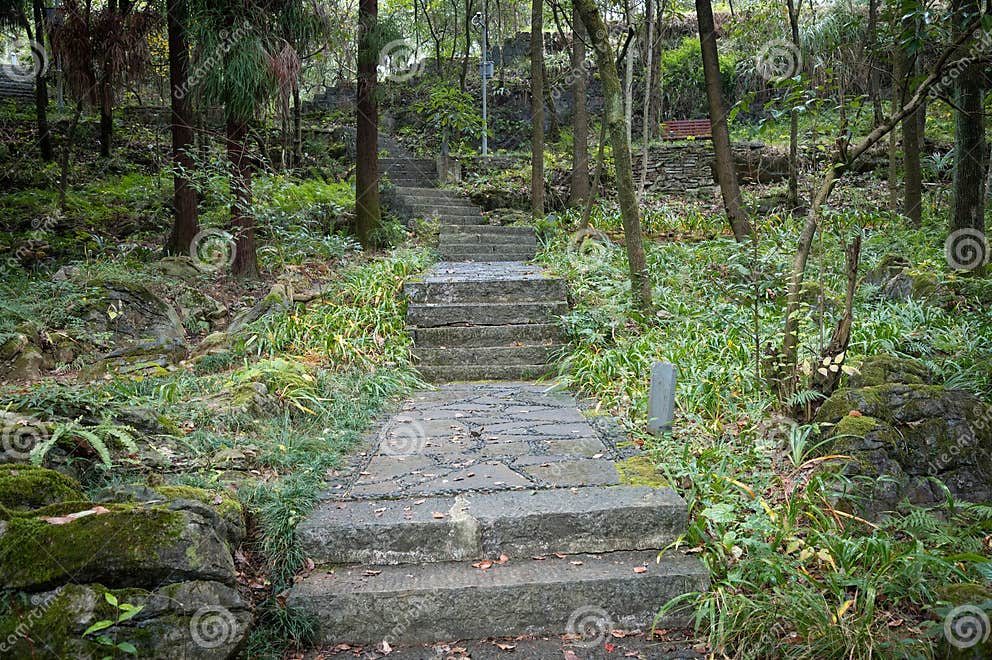 Forest stone path stock photo. Image of path, landscaping - 299966840