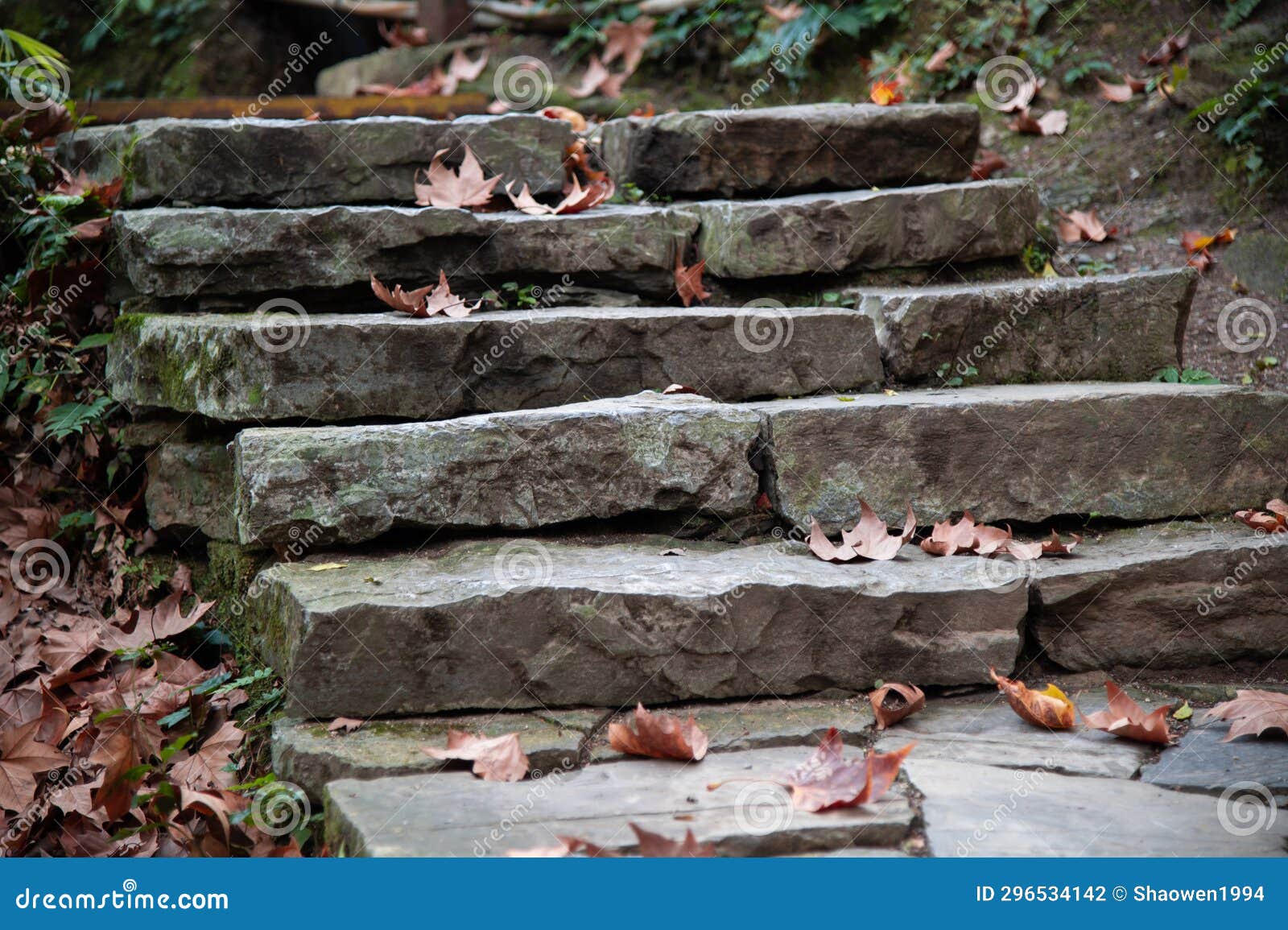 Stone stairs in forest stock photo. Image of park, path - 296534142