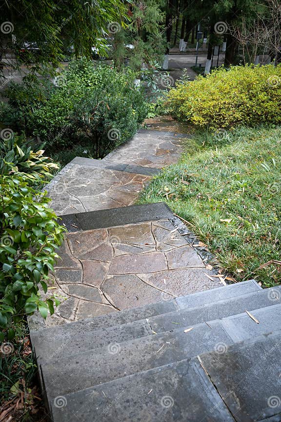 Forest stone step path stock photo. Image of grass, landscaping - 299966558