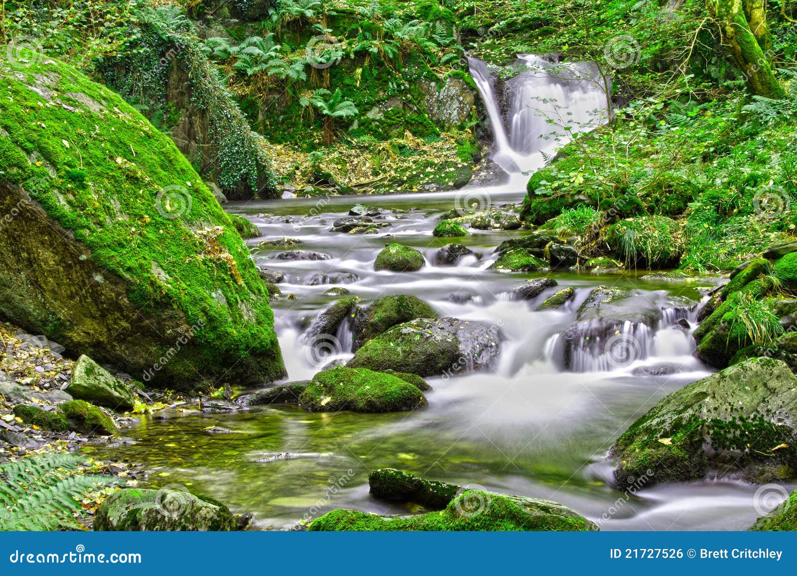 Forest stream stock photo. Image of green, rocks, waterfall - 21727526