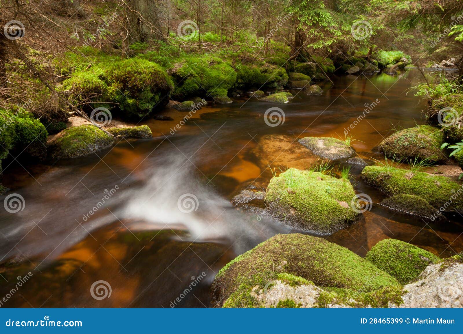 Forest stream stock image. Image of creek, brown, water - 28465399