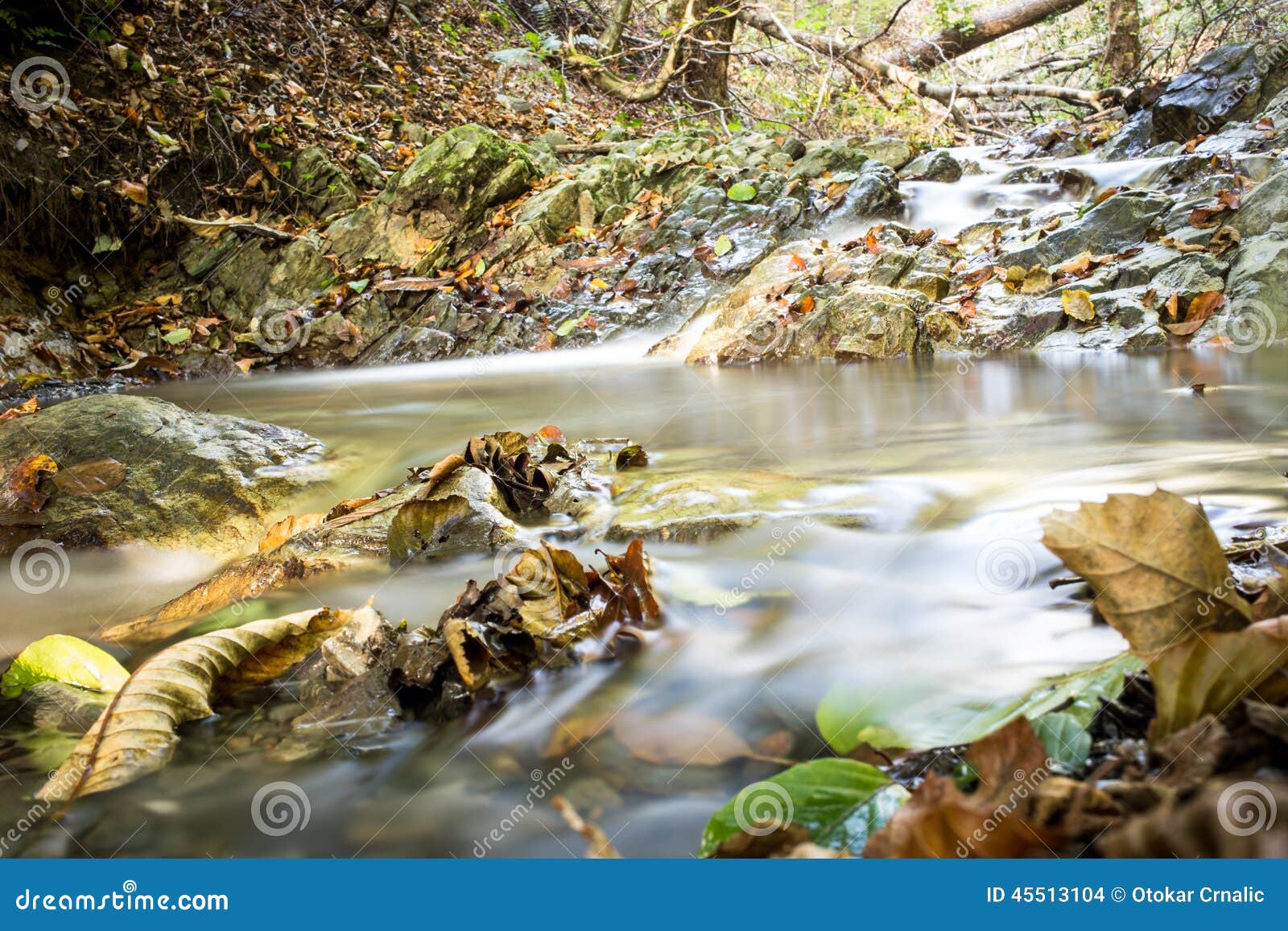 Forest stream in autumn stock photo. Image of forest - 45513104