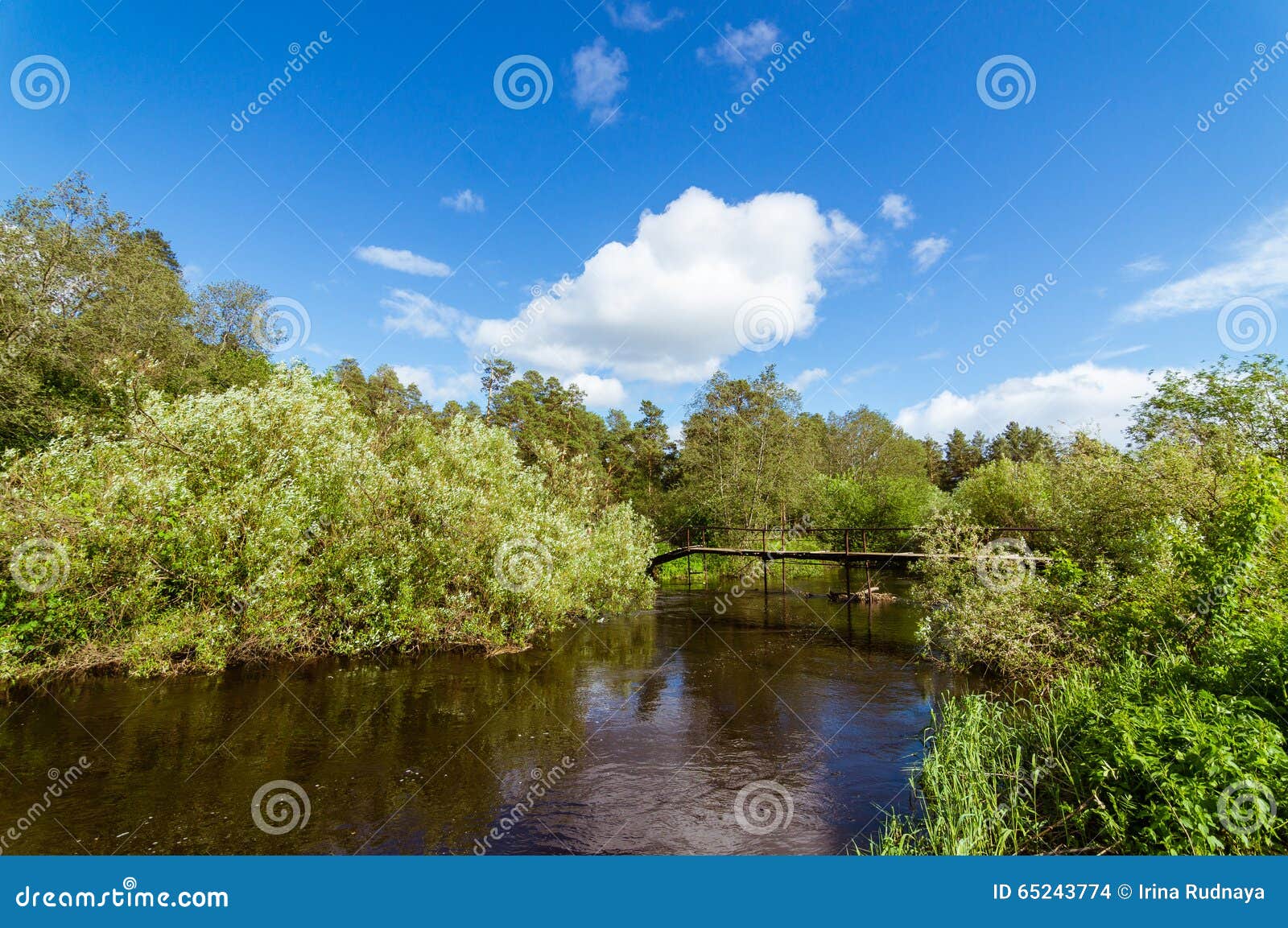 Forest Stream with a Bridge in the Summer, Stock Photo - Image of ...