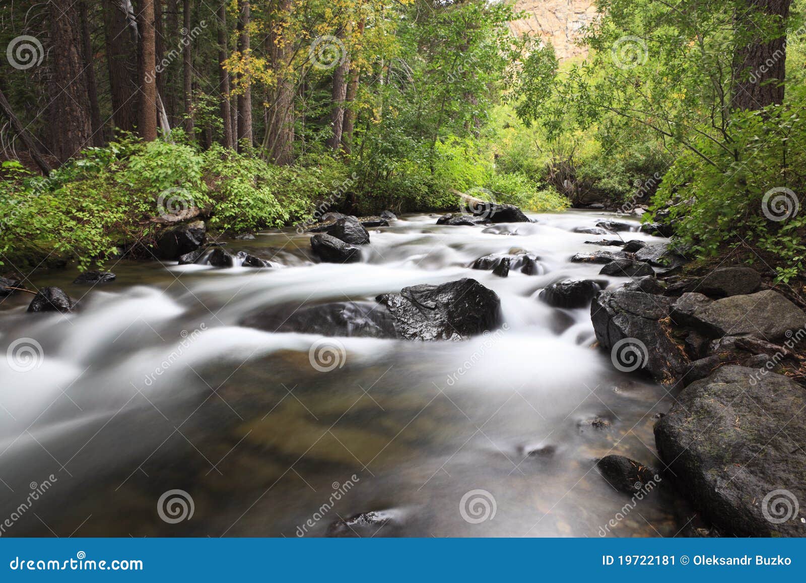 Forest Stream in California Mountains Stock Image - Image of vista ...