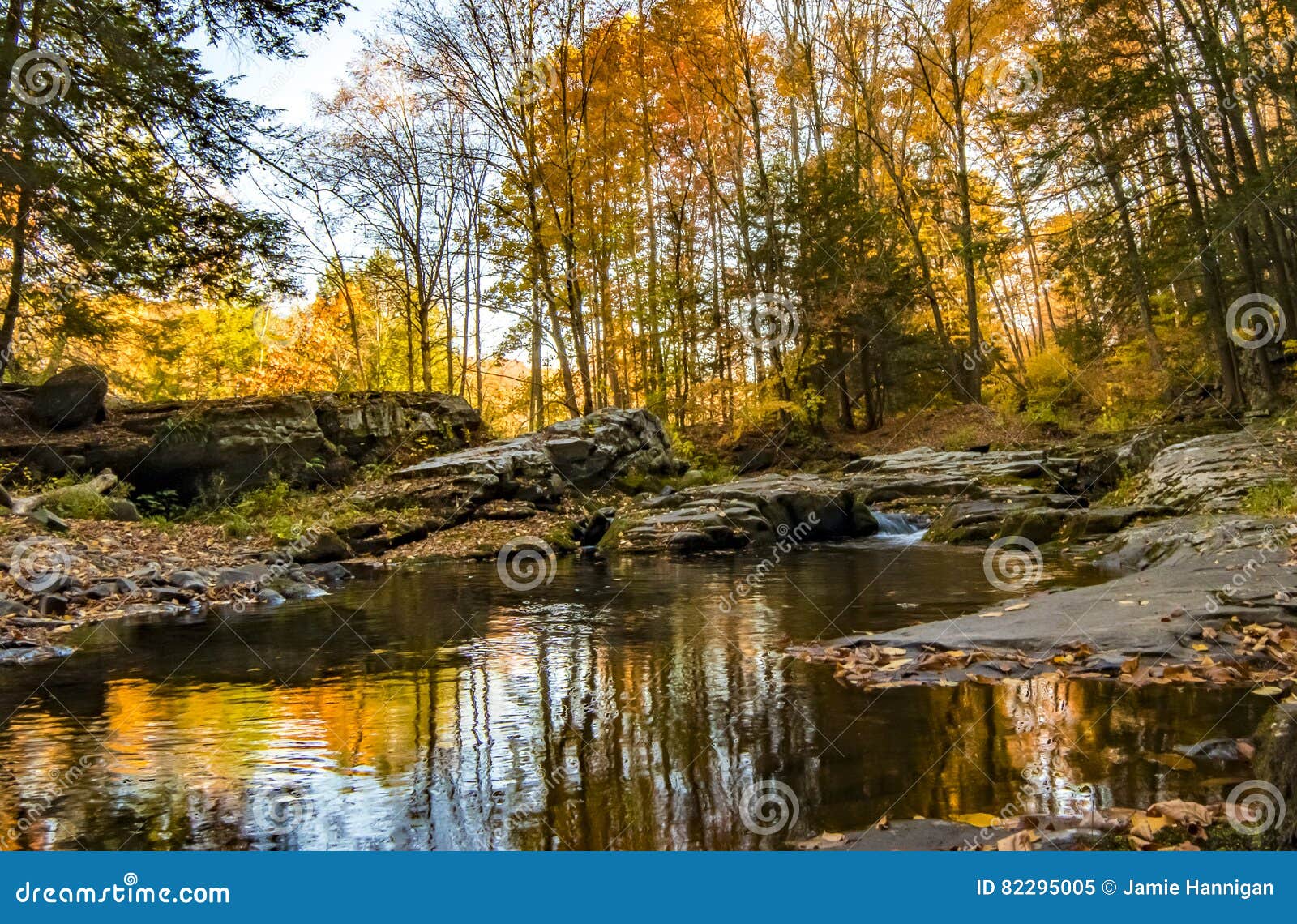 Forest stream in fall stock image. Image of woodland - 82295005