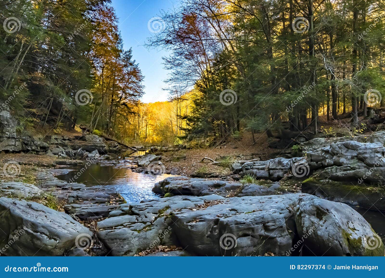 Forest stream in fall stock photo. Image of pennsylvania - 82297374