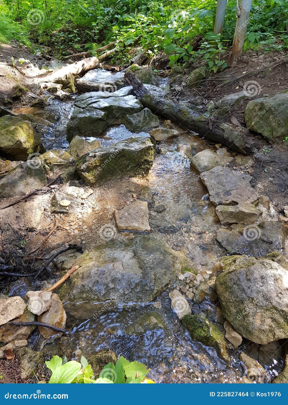 Forest Stream Flows among the Boulders Stock Photo - Image of branch ...