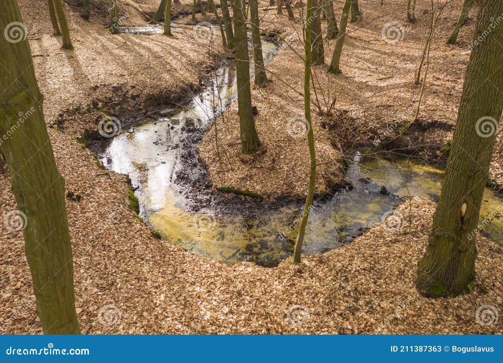 A Forest Stream Flowing through a Deep Ravine. Stock Image - Image of ...